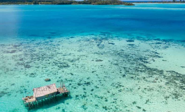 among（amongst）とamid（amidst）の使い方の違い | ネイティブと英語について話したこと