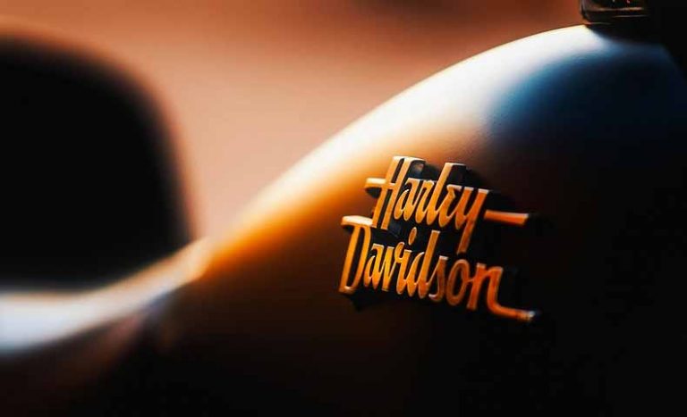 emblazon（emblazoned）の意味と使い方 | ネイティブと英語について話したこと