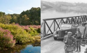 invade / invasive / invasionの意味と使い方 | ネイティブと英語について話したこと