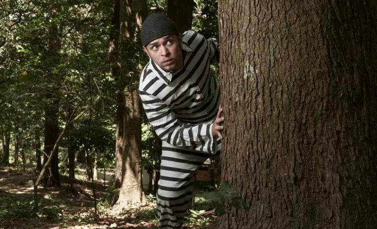 large / largely / at largeの意味と使い方 | ネイティブと英語について話したこと